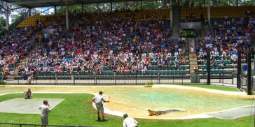 Brisbane Australia Crocodile Experiences | Everything Australia