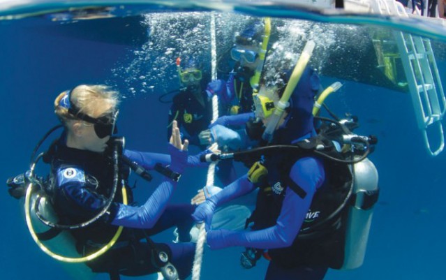 Great Barrier Reef Diving Tours | Cairns Reef Boats Tours