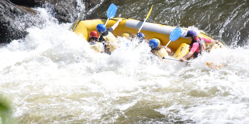 Barron River & Raging Thunder Tours, Cairns - Everything Australia