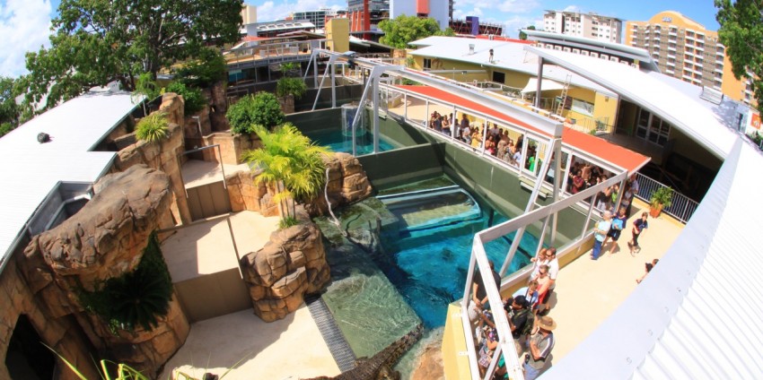Crocosaurus Cove Big Croc Feed Experience, Darwin - Everything Australia