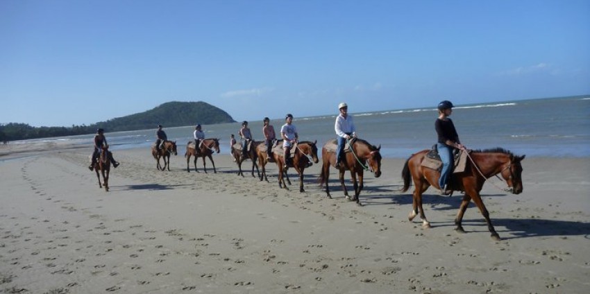 Cape Tribulation Horse Rides | Everything Australia